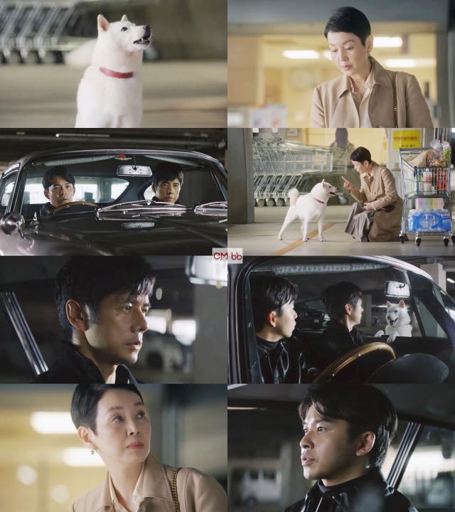 西島秀俊,仲野太賀,樋口可南子,犬 ソフトバンク CM 唇を読め iPhone篇。30秒版 『新しいiPhone登場』/西島秀俊 CM bb-navi